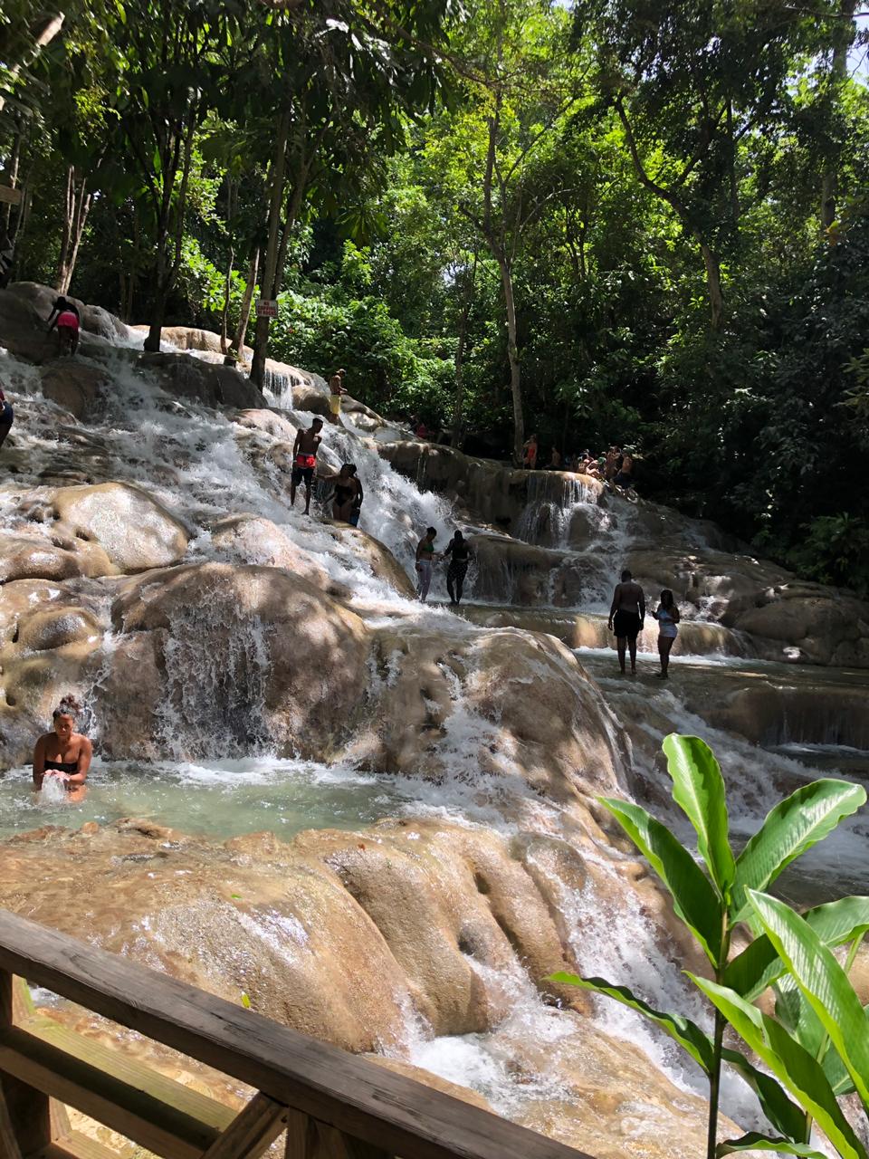 Easy Vibes Exclusive Tours and Transfers